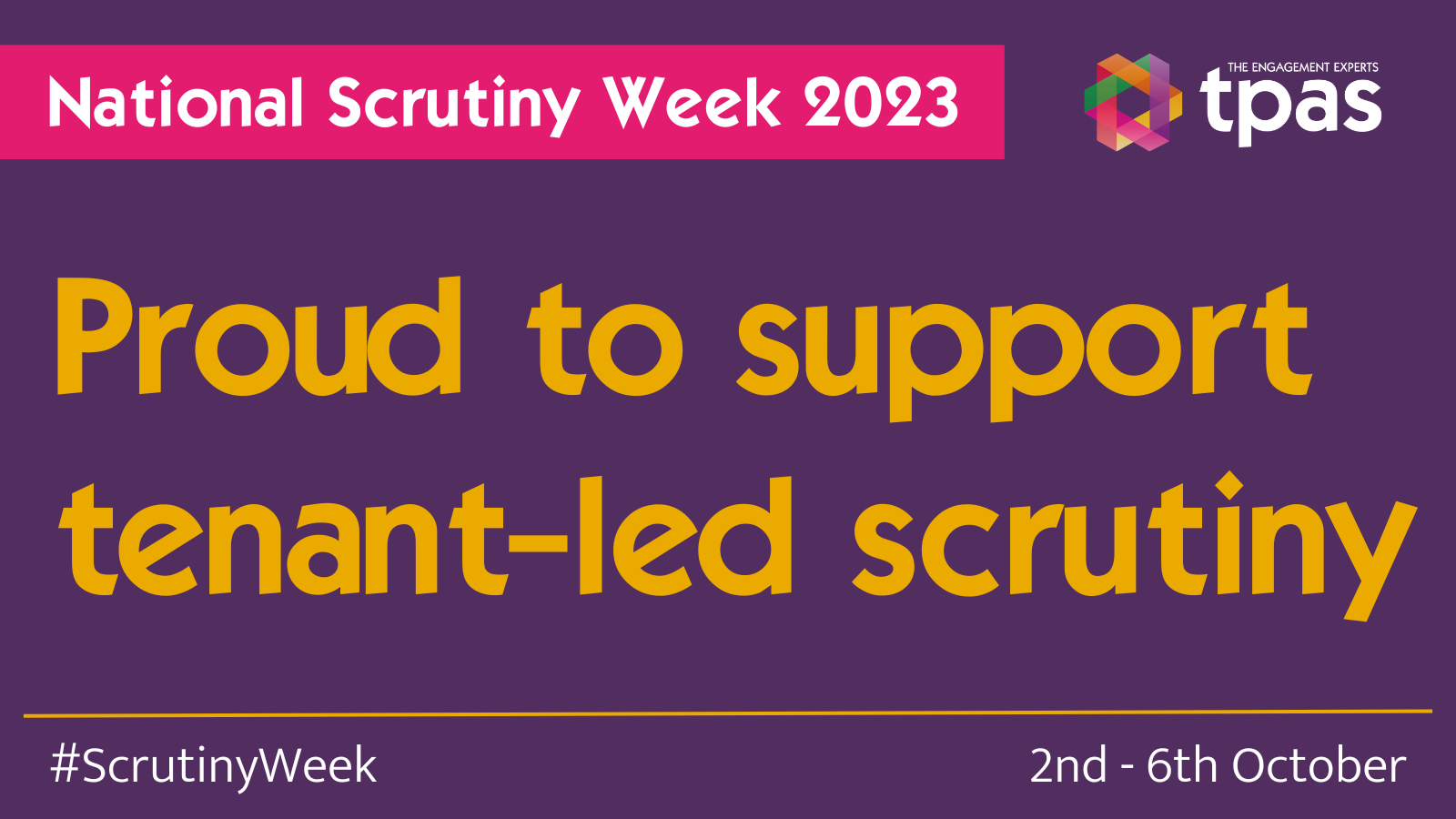 National Scrutiny Week 2023 - Chas Berger